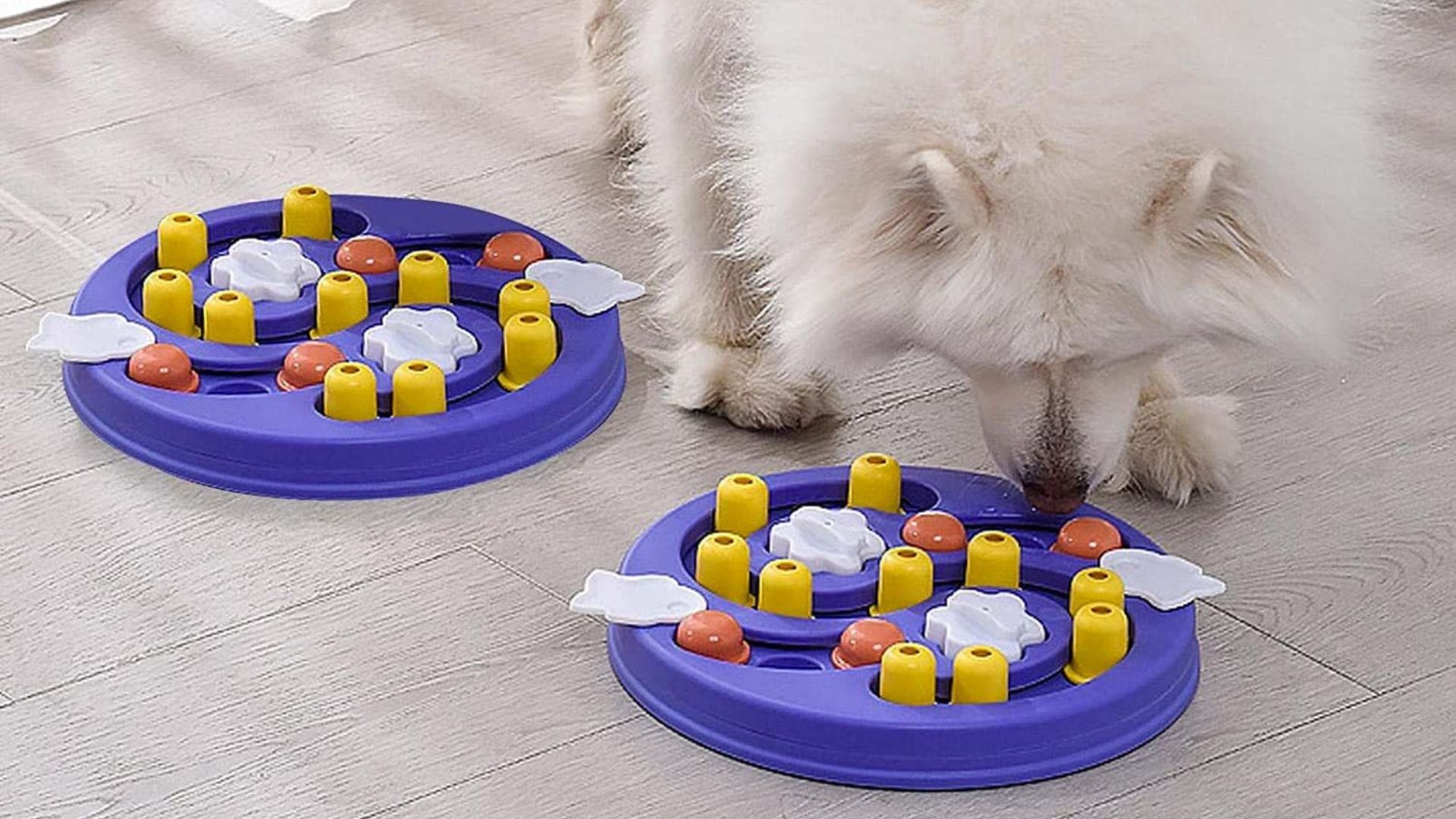 Juguetes y actividades divertidas para estimular a tu mascota